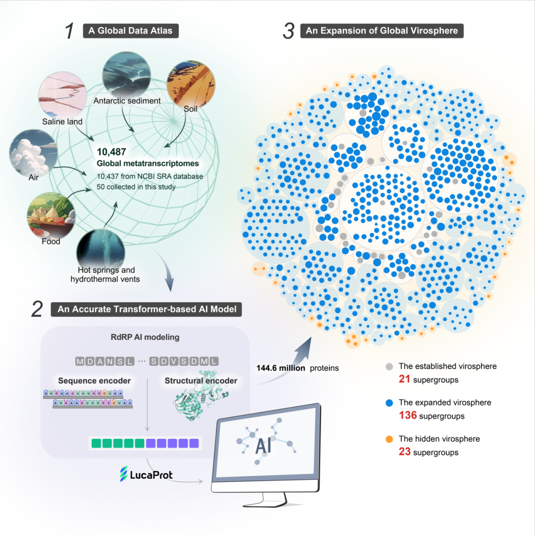 科研动态 | 我院施莽教授团队借助人工智能技术开展病毒学研究 大幅拓宽RNA病毒库 | 中山大学医学院